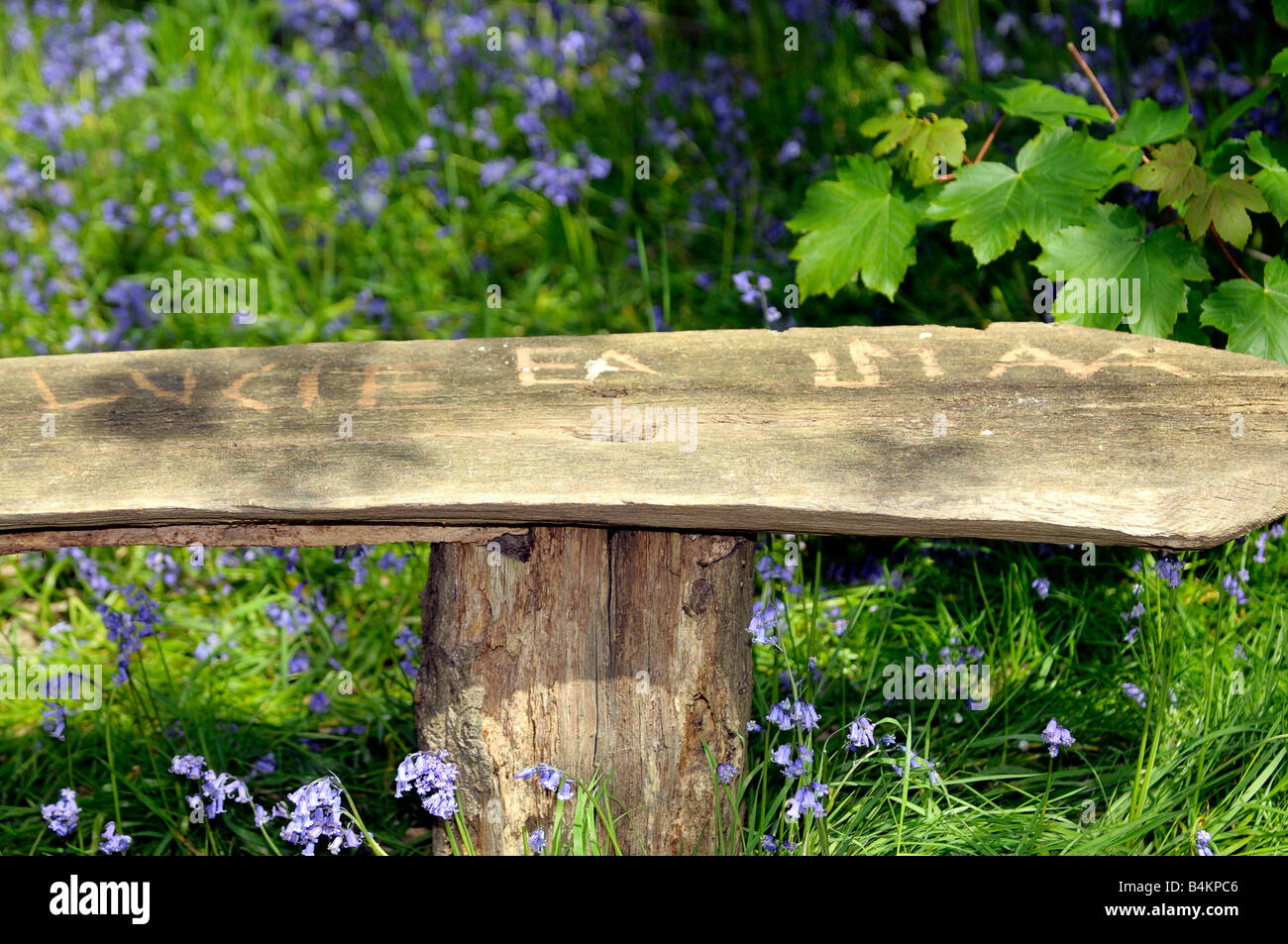 Belhus essex hi-res stock photography and images - Alamy