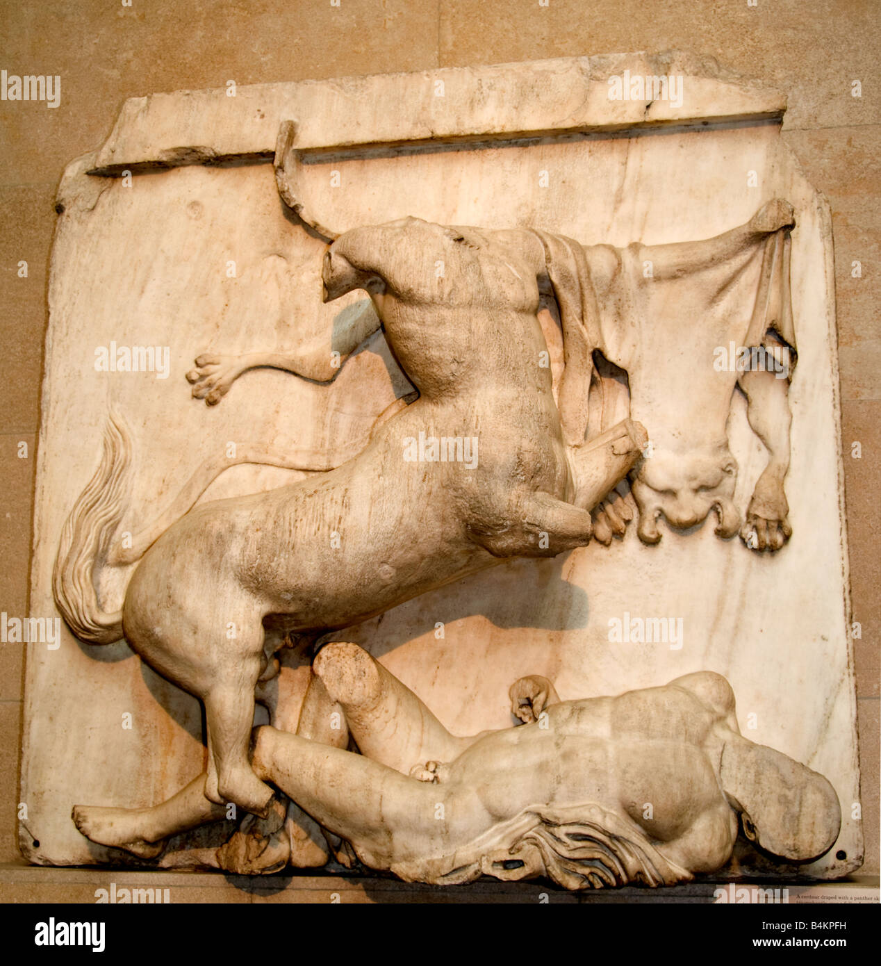 Elgin Marbles Centaur High Resolution Stock Photography and Images - Alamy