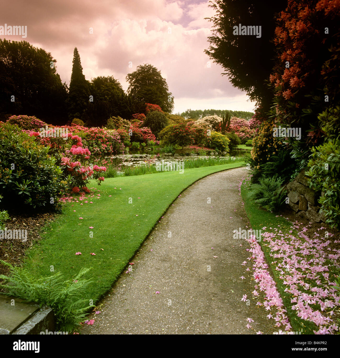 Biddulph gardens pond hi-res stock photography and images - Alamy