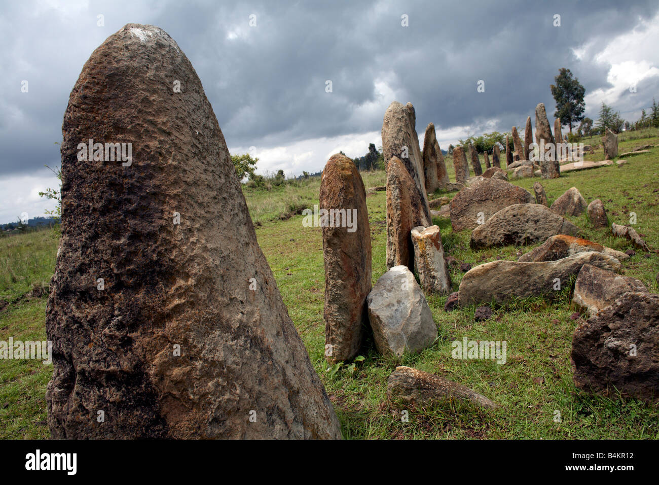 The standing stones of Tiya, Ethiopia Stock Photo - Alamy
