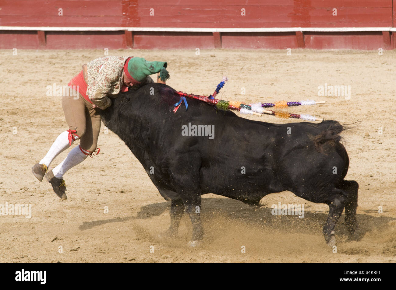 bullfighting in Portugal Stock Photo - Alamy