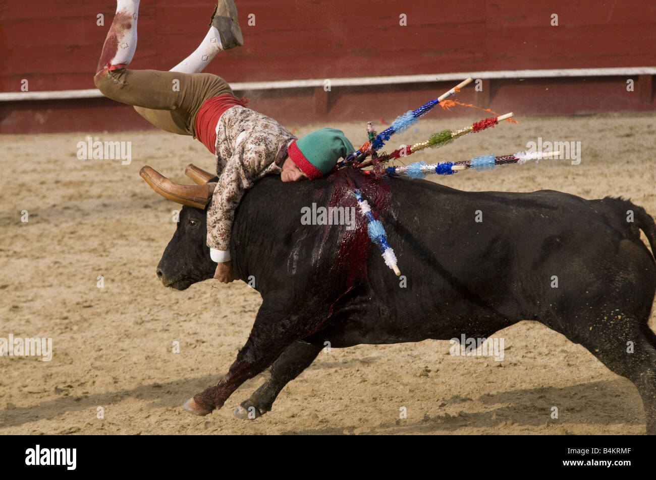 Bullfighting in portugal hi-res stock photography and images - Alamy