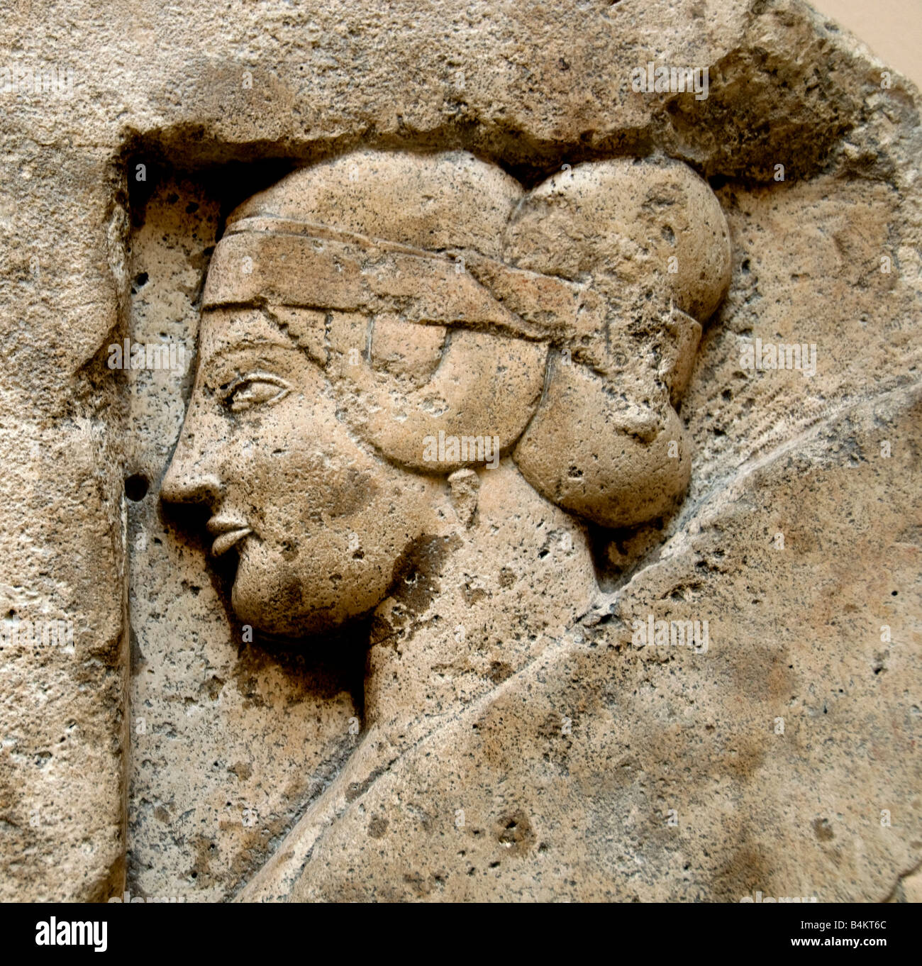 Lion and bird hi-res stock photography and images - Alamy