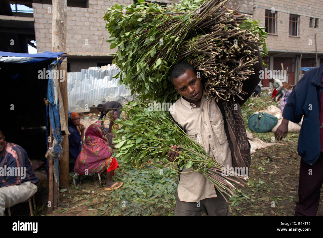 Fresh khat in the town of Awodaye, Ethiopia Stock Photo - Alamy
