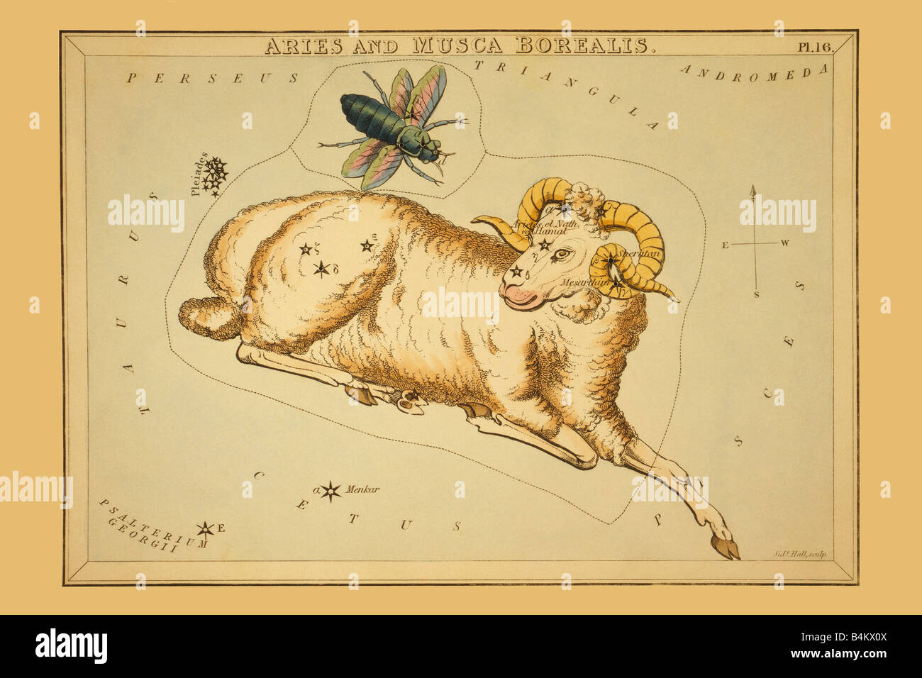 Musca constellation hi-res stock photography and images - Alamy