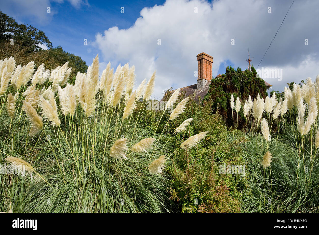 Beautiful Chimney against Fluffy Sky, Noss Mayo "South Devon" UK Stock ...