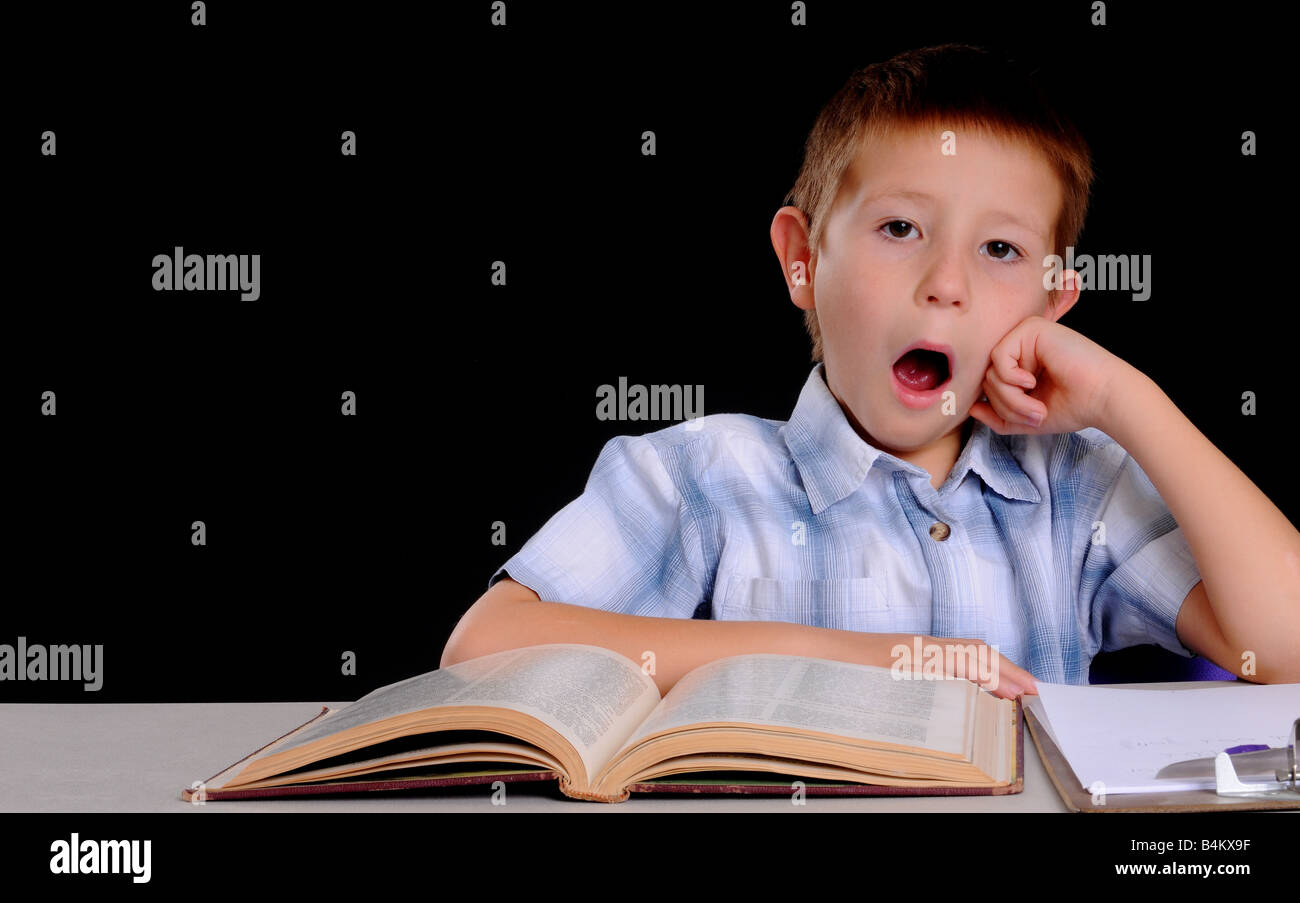 Young boy hard at work studying his books Stock Photo - Alamy