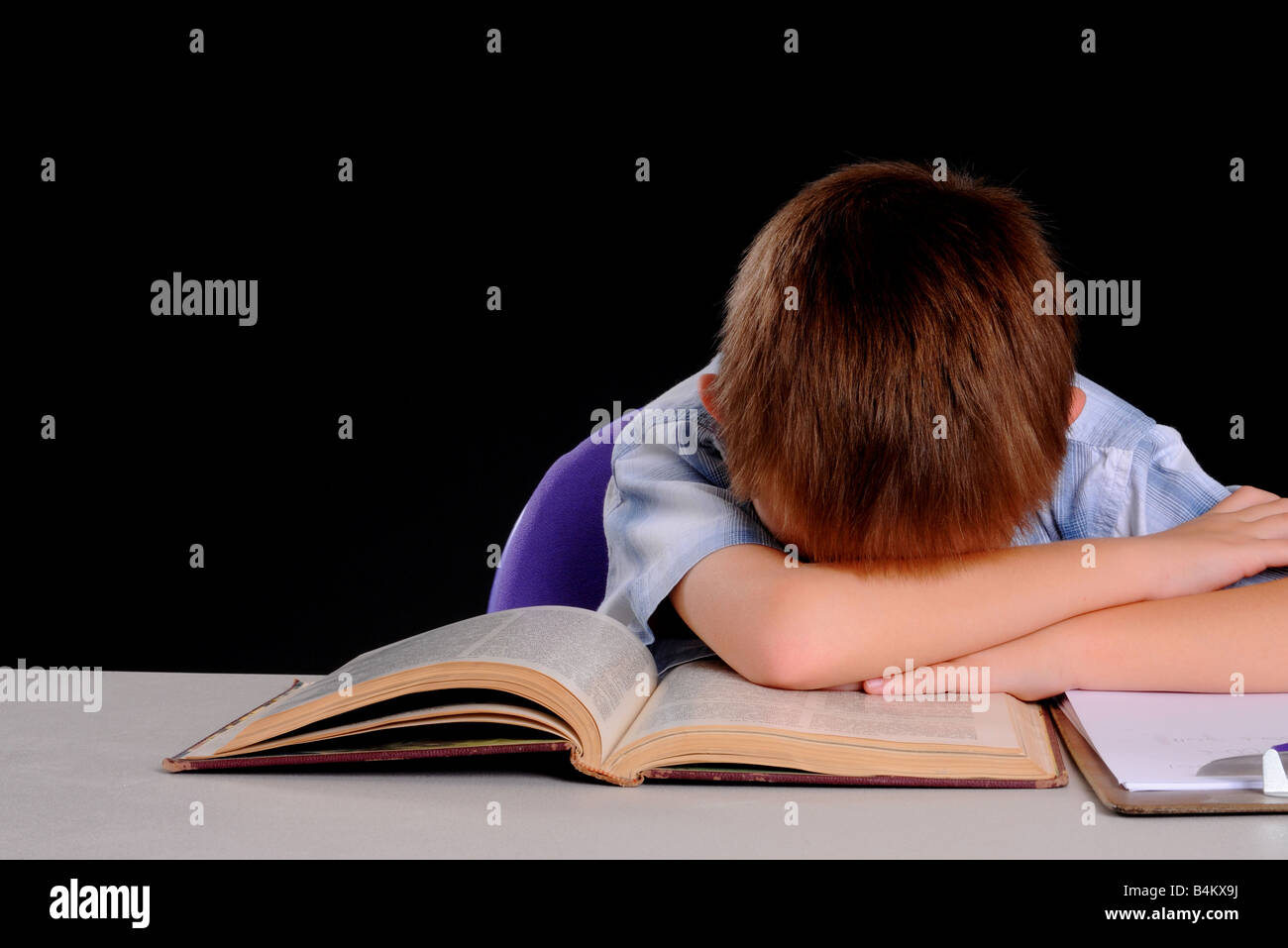 Young boy hard at work studying his books Stock Photo - Alamy