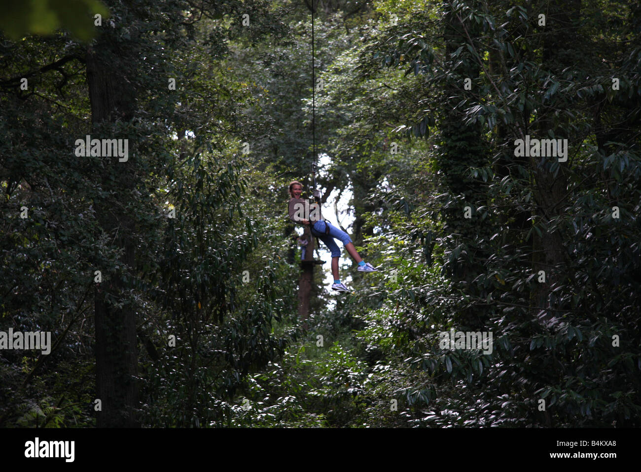 High french wire hi-res stock photography and images - Alamy