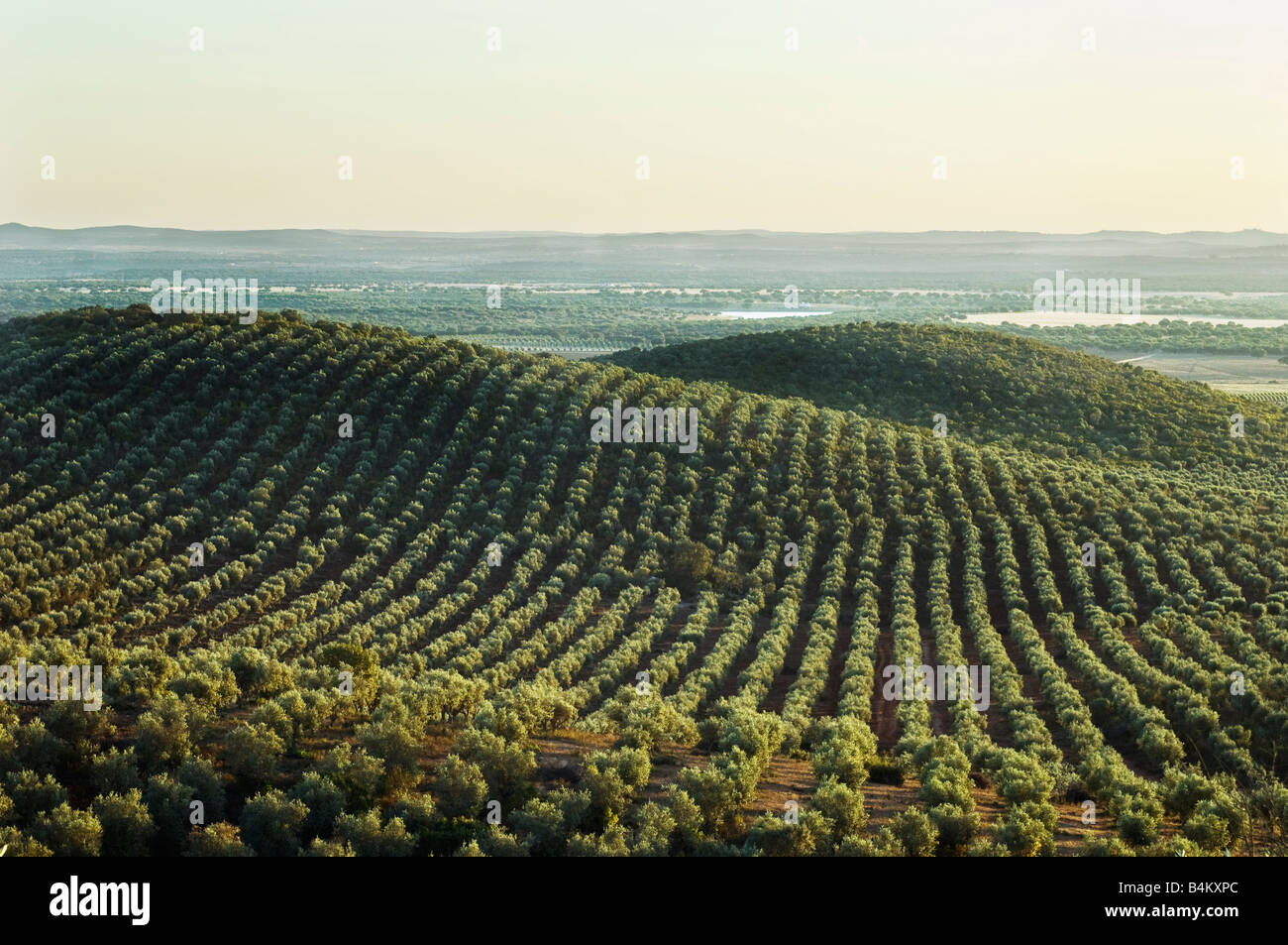 Alentejo plains hi-res stock photography and images - Alamy
