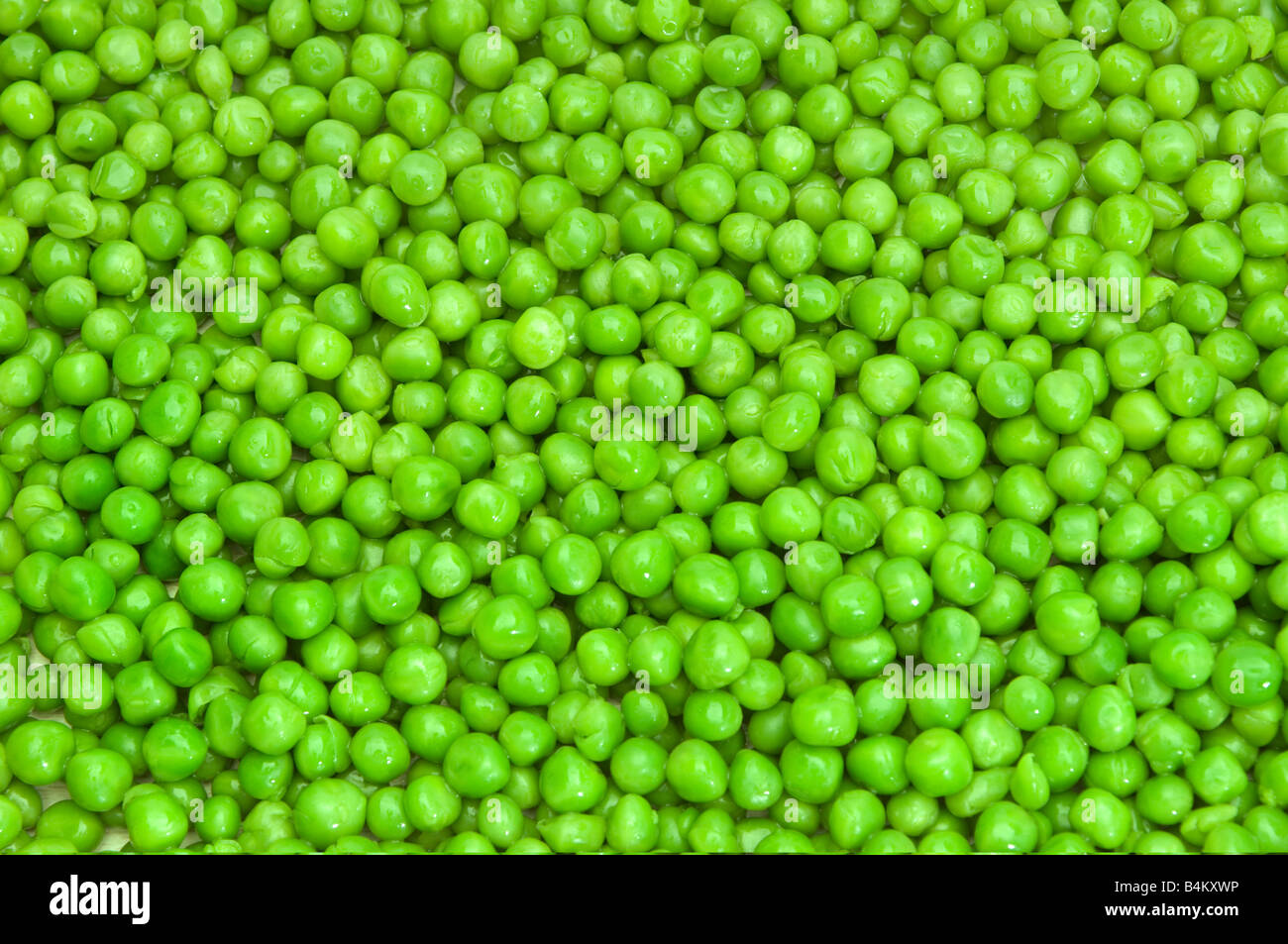 a background of fresh green peas Stock Photo - Alamy