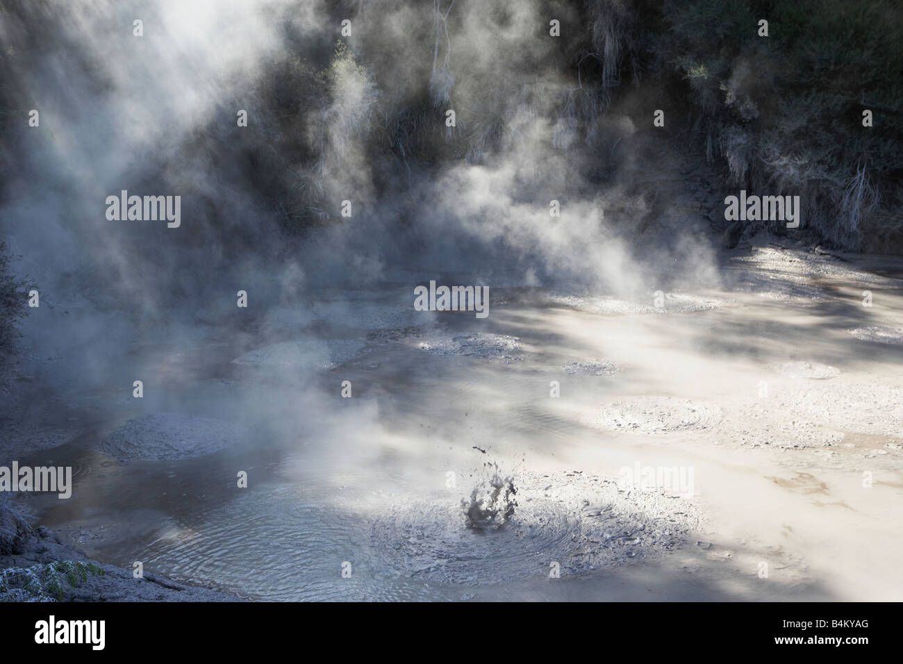 The Mud Pool Wai-O-Tapu Geothermal Reserve Rotorua North Island New ...