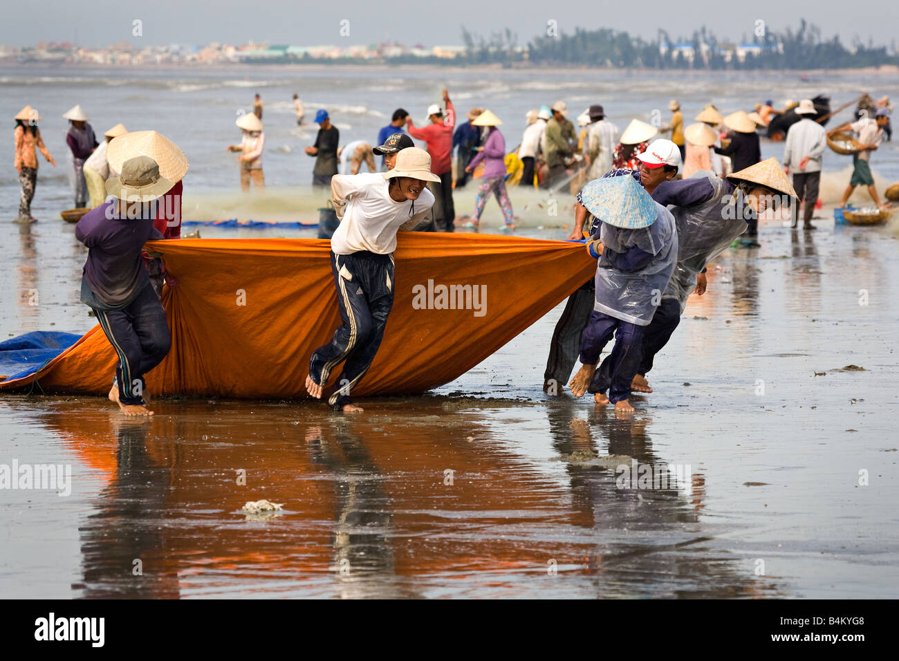 Men pulling sheet full of fishes to be sorted for market Stock Photo ...