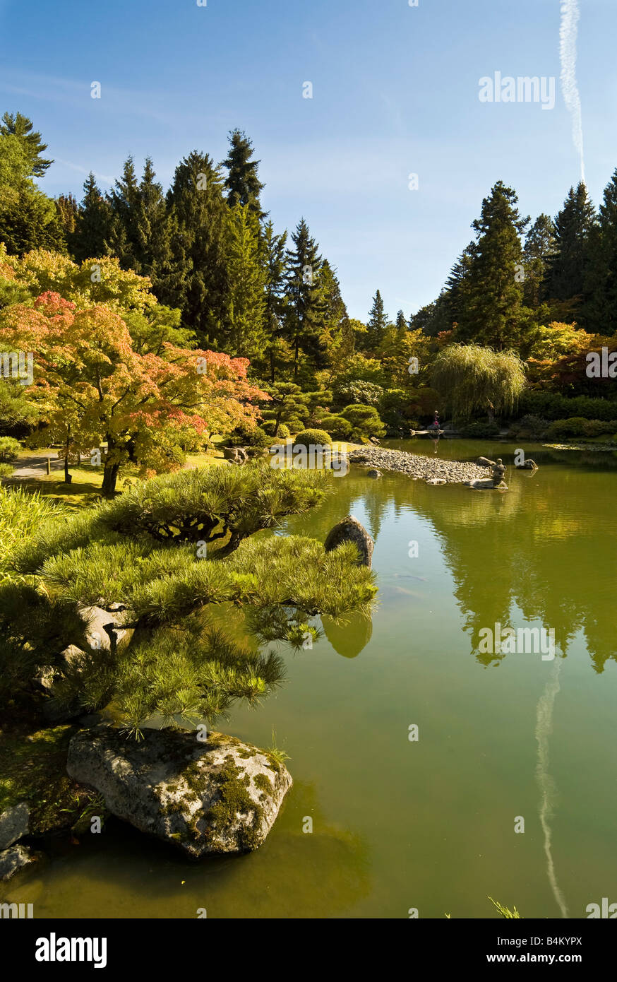 University of washington arboretum hi-res stock photography and images ...