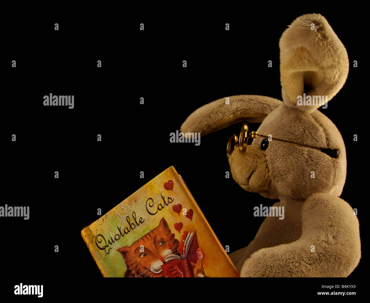 Bunny rabbit glasses spectacles hi-res stock photography and images - Alamy