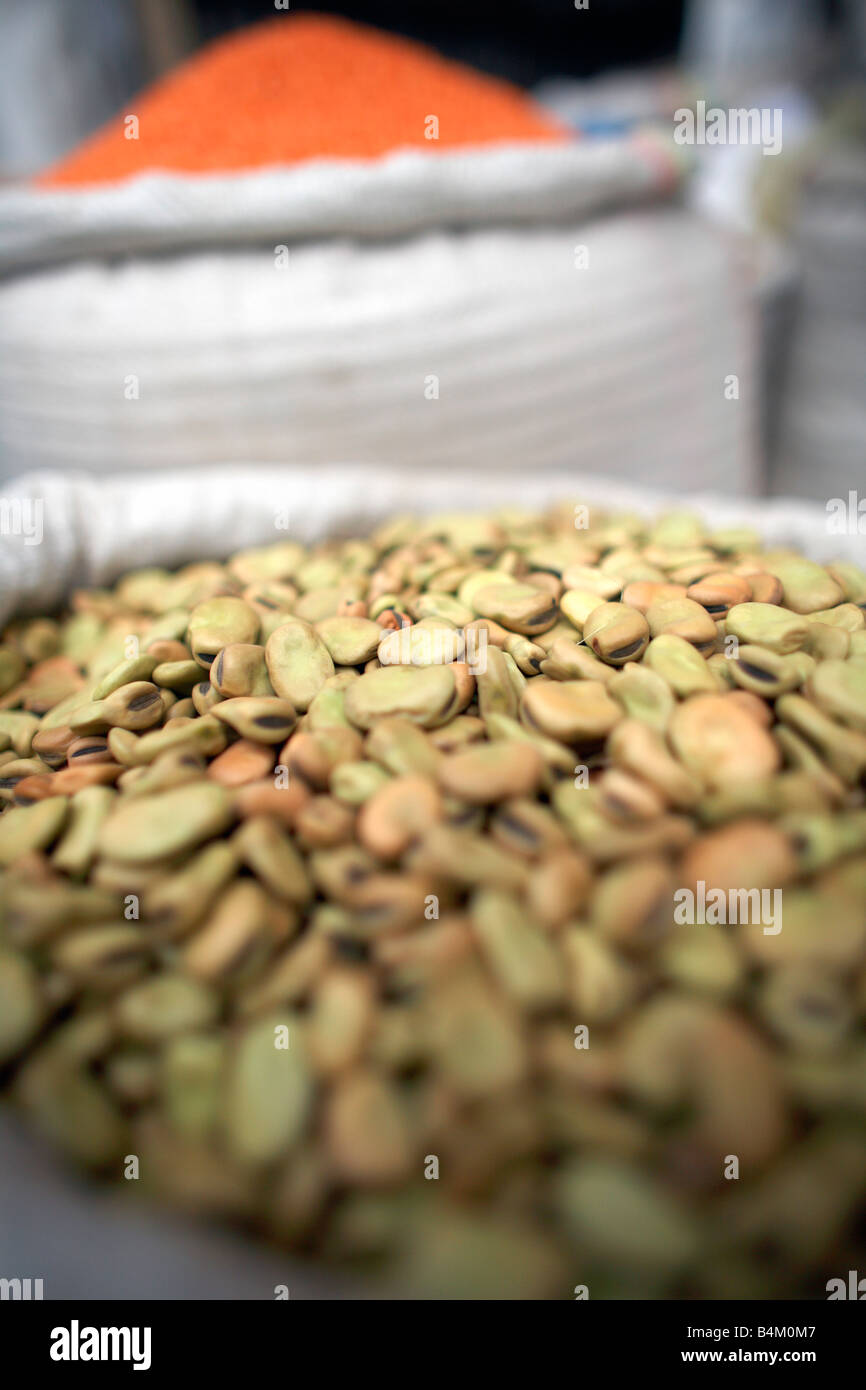 Lablab bean hi-res stock photography and images - Alamy