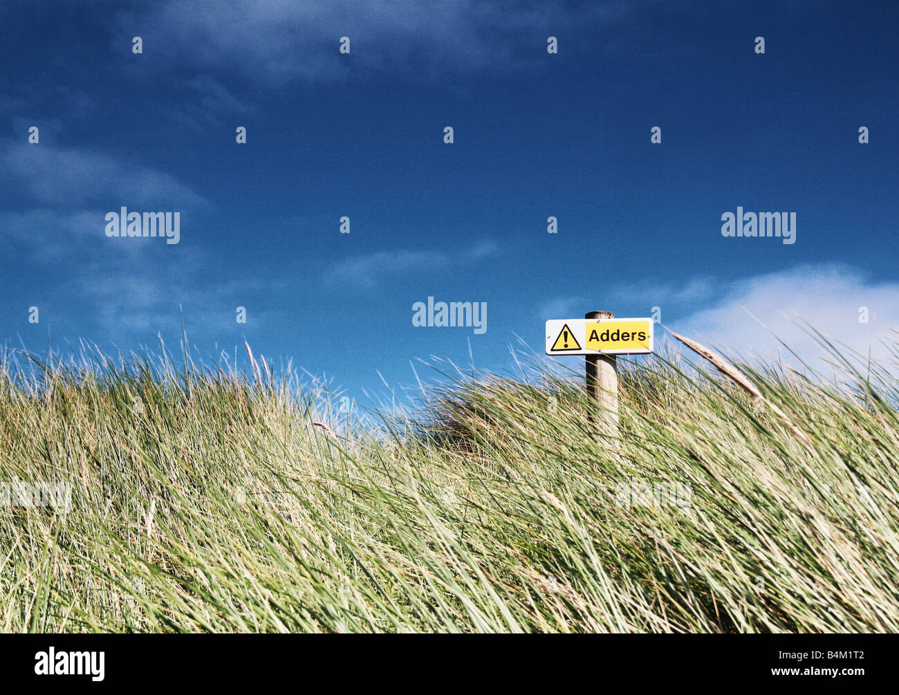 adder warning sign Stock Photo - Alamy