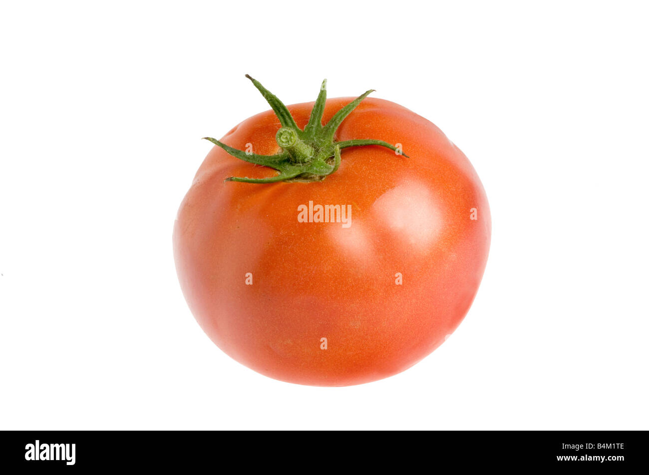 single organic fresh tomato Stock Photo - Alamy