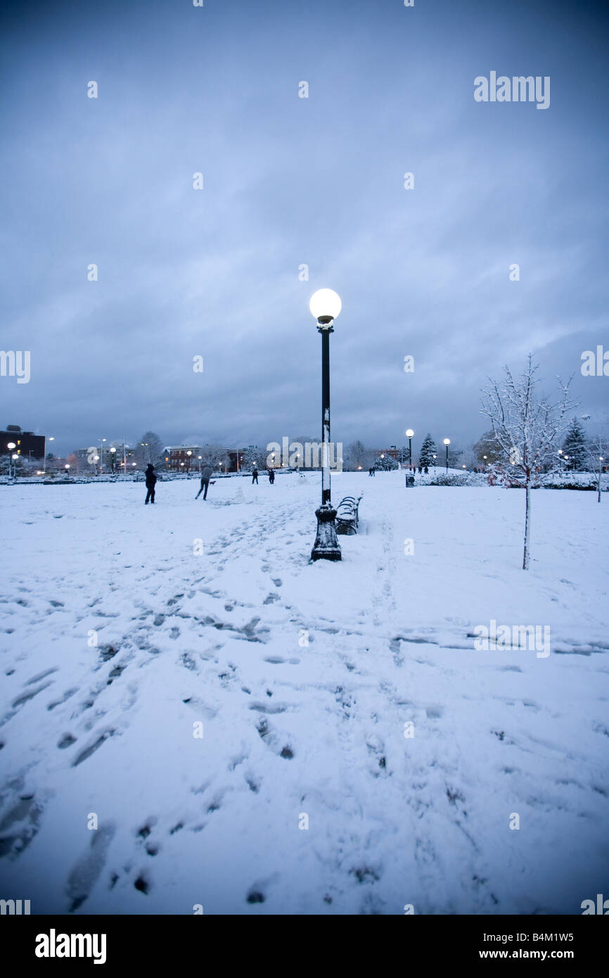 winter storm in the park and lamp post Stock Photo - Alamy