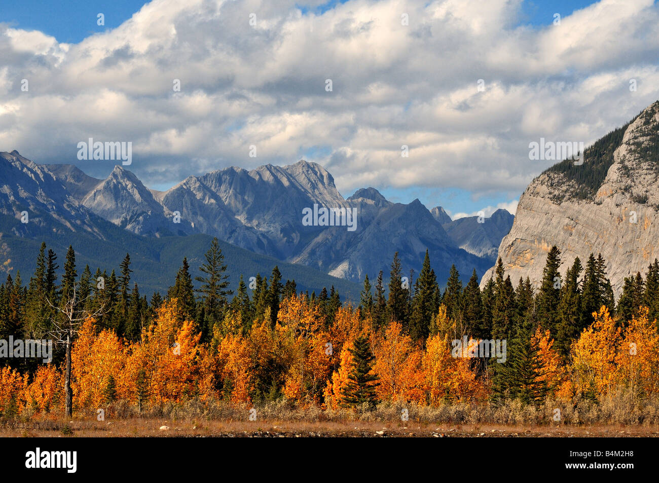 Horizontal landscape environment pristine hi-res stock photography and ...