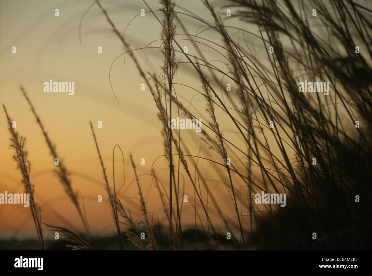 Sunset at Beit Yanai beach Stock Photo - Alamy