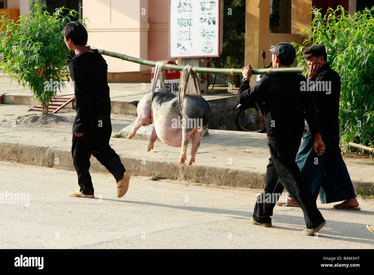 White Hmong tribesmen at Dong Van market, Ha Giang Province, Vietnam ...