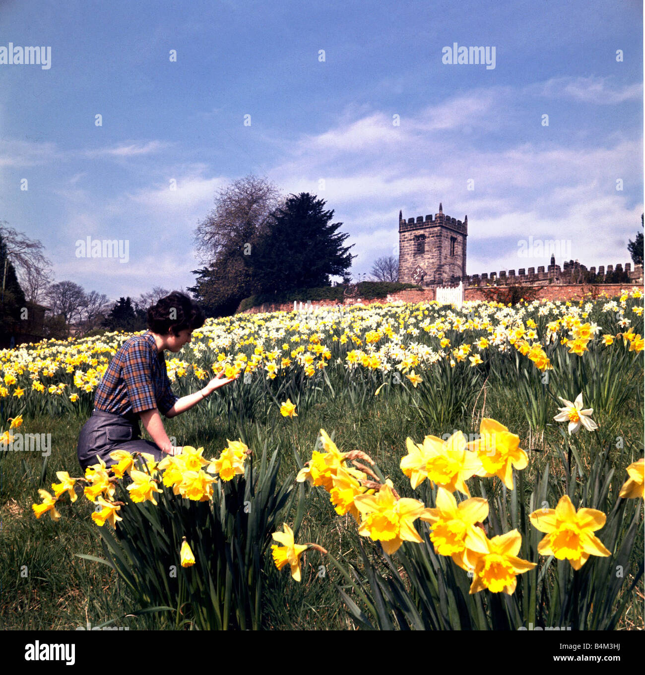Crayke Village Church Springtime Spring Flowers Daffodils 1970 Stock ...