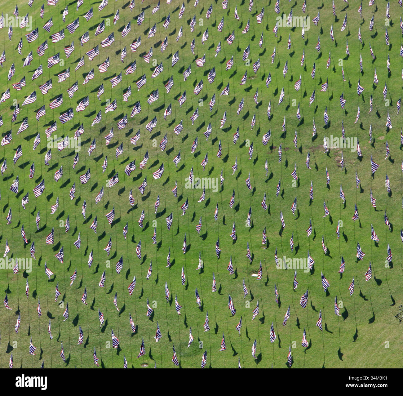 field of flags Stock Photo - Alamy
