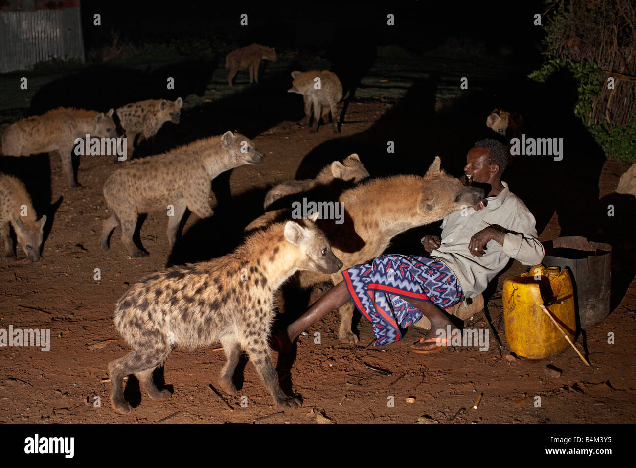 The Hyena man of Harar, Ethiopia Stock Photo - Alamy