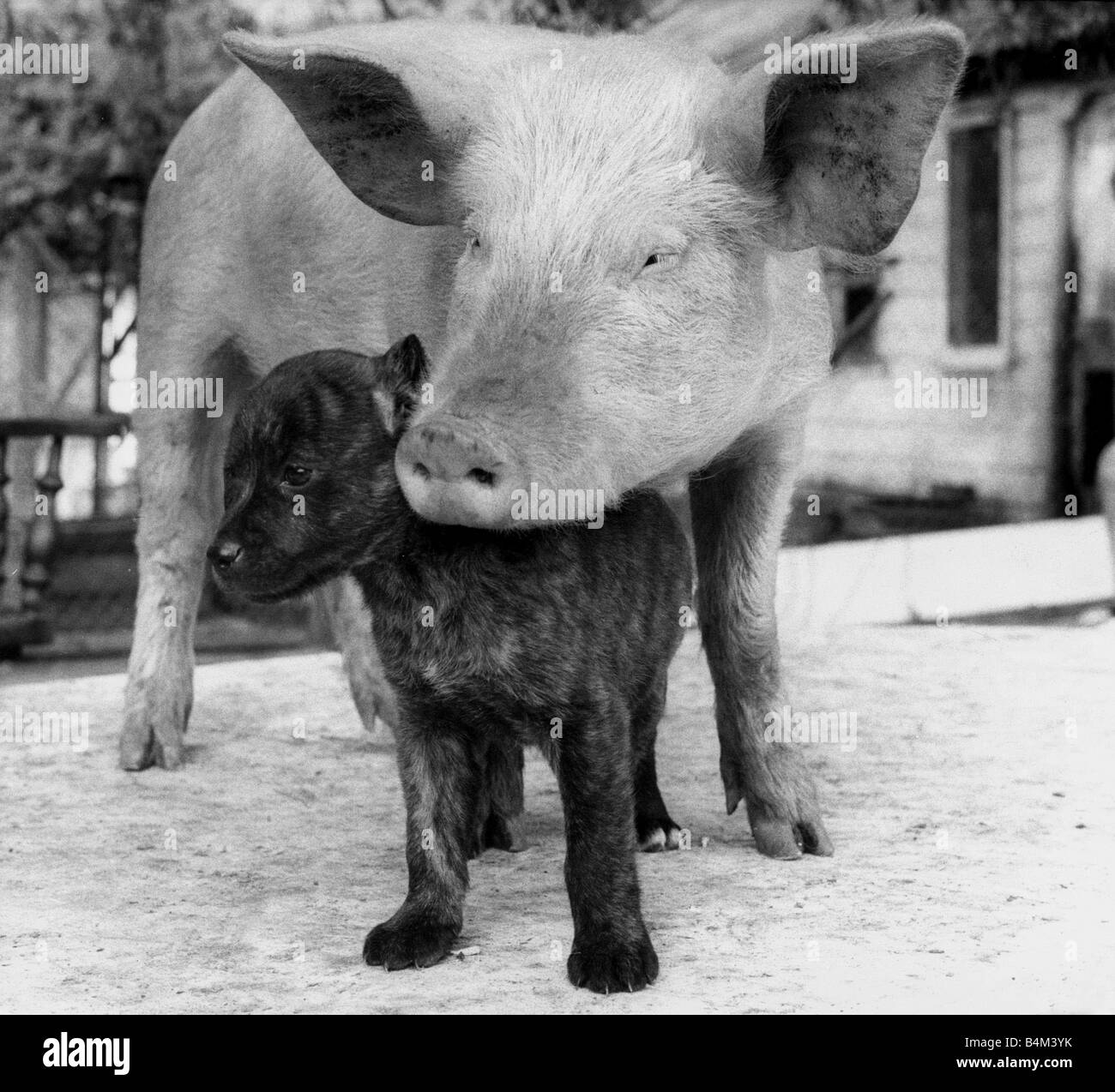 Family run agriculture Black and White Stock Photos & Images - Alamy