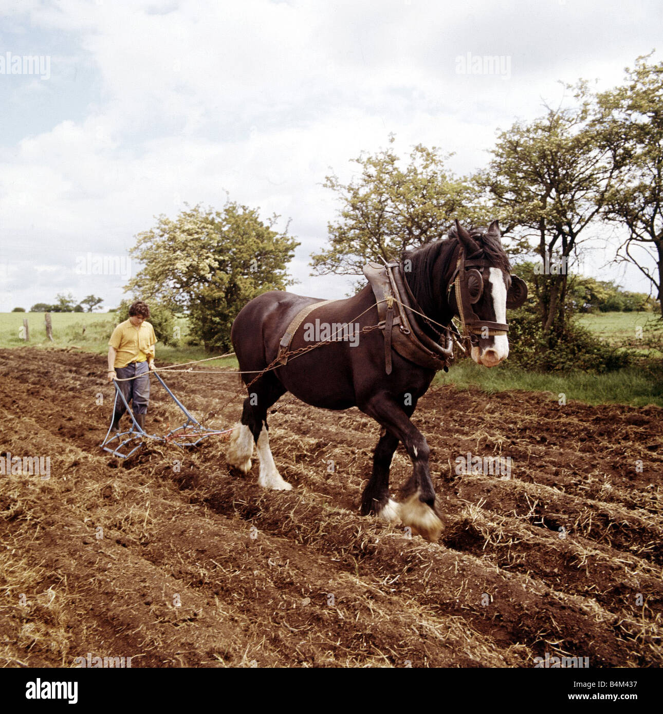 Horses ploughing hi-res stock photography and images - Alamy