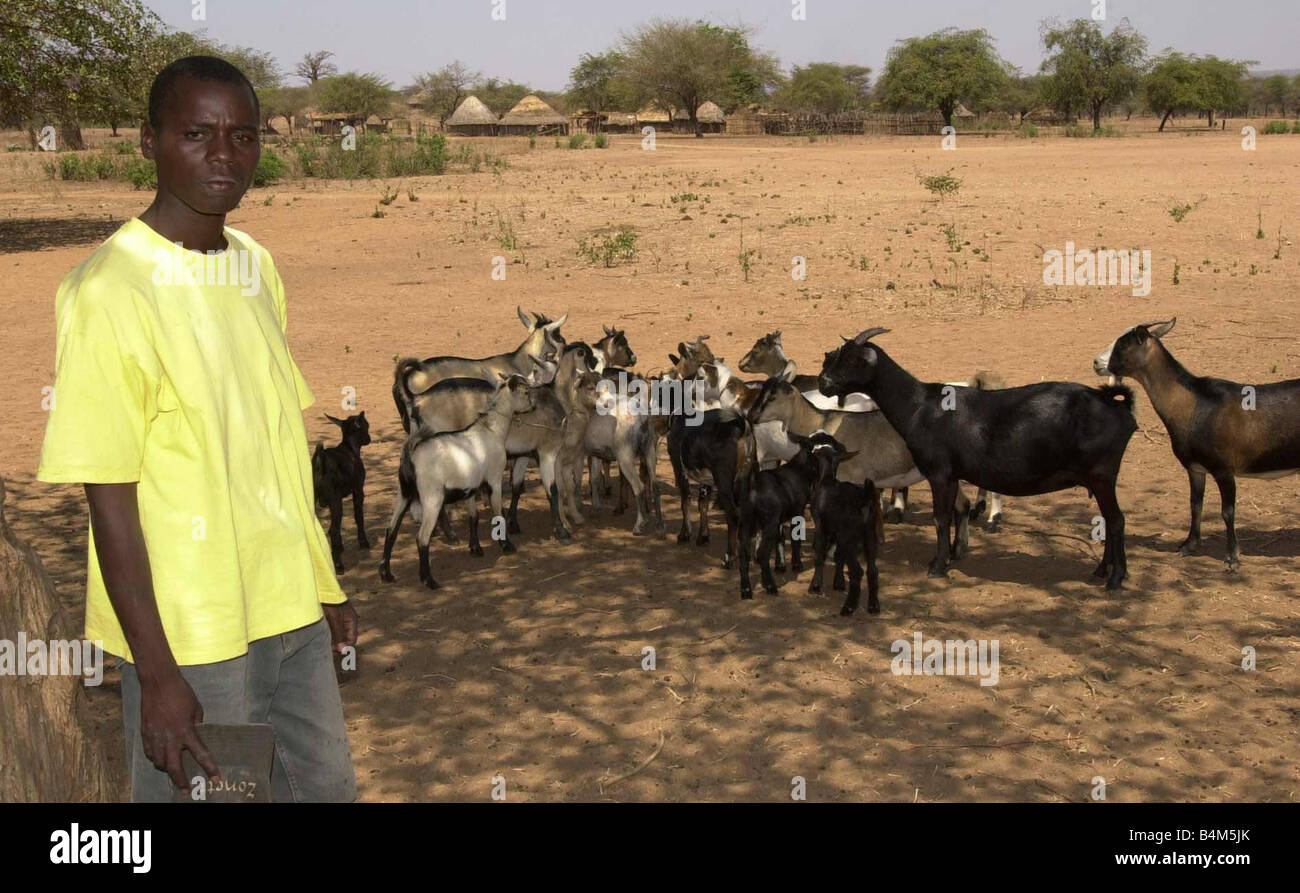 Mozambique Famine Goat keeper Felixi Fernando with his flock at ...