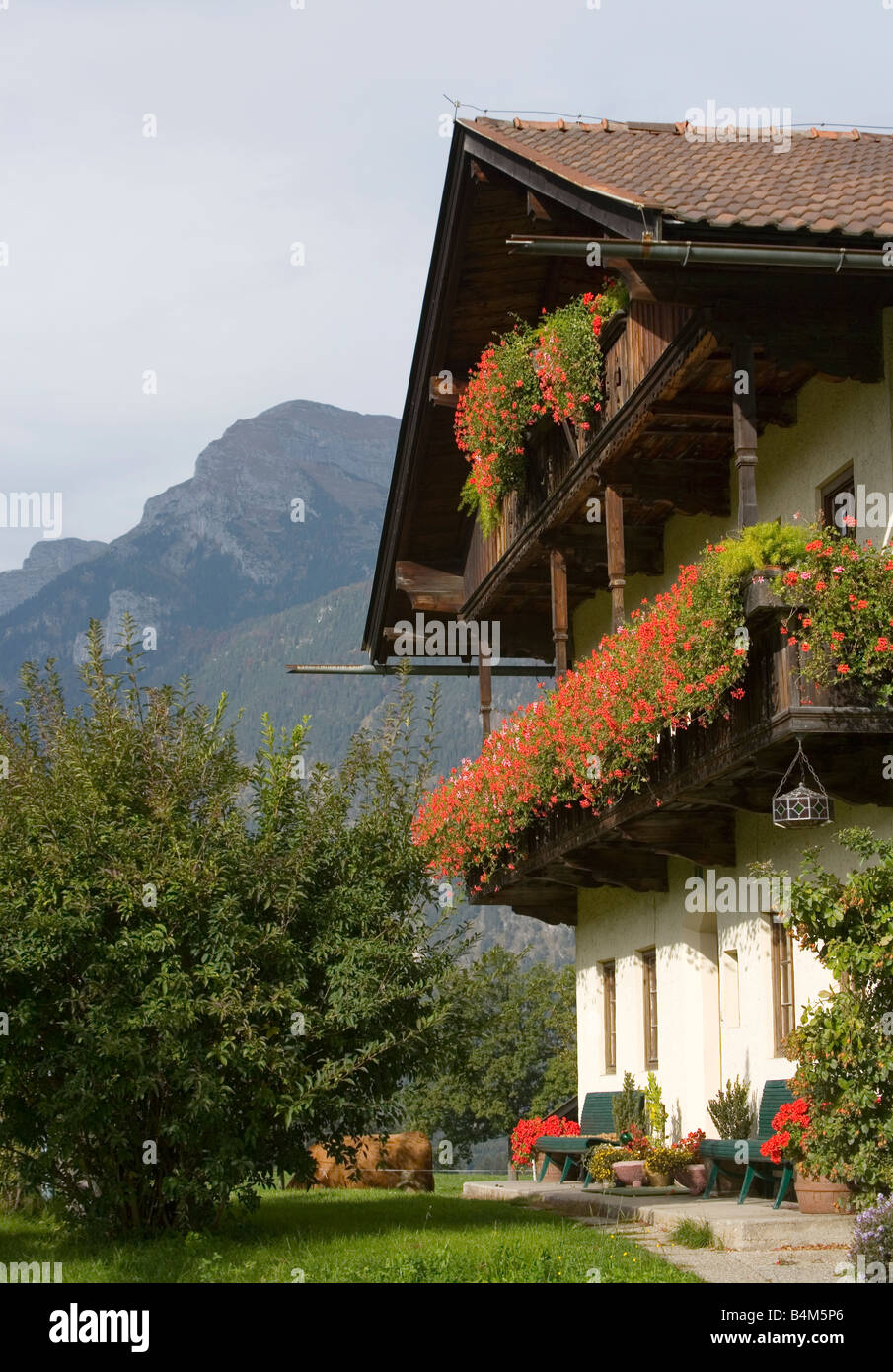 Albach, austria hi-res stock photography and images - Alamy