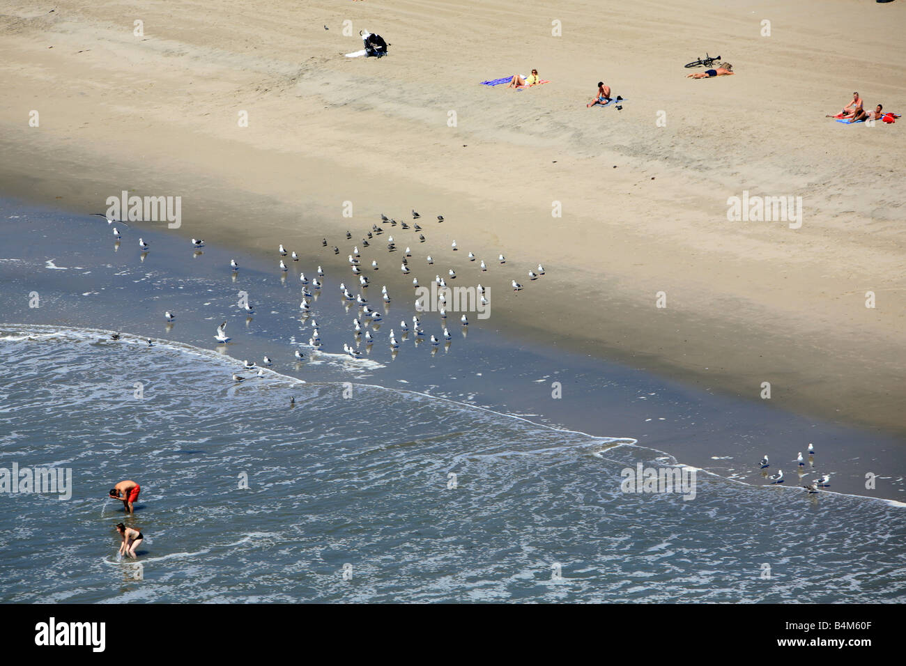 Ocedan hi-res stock photography and images - Alamy