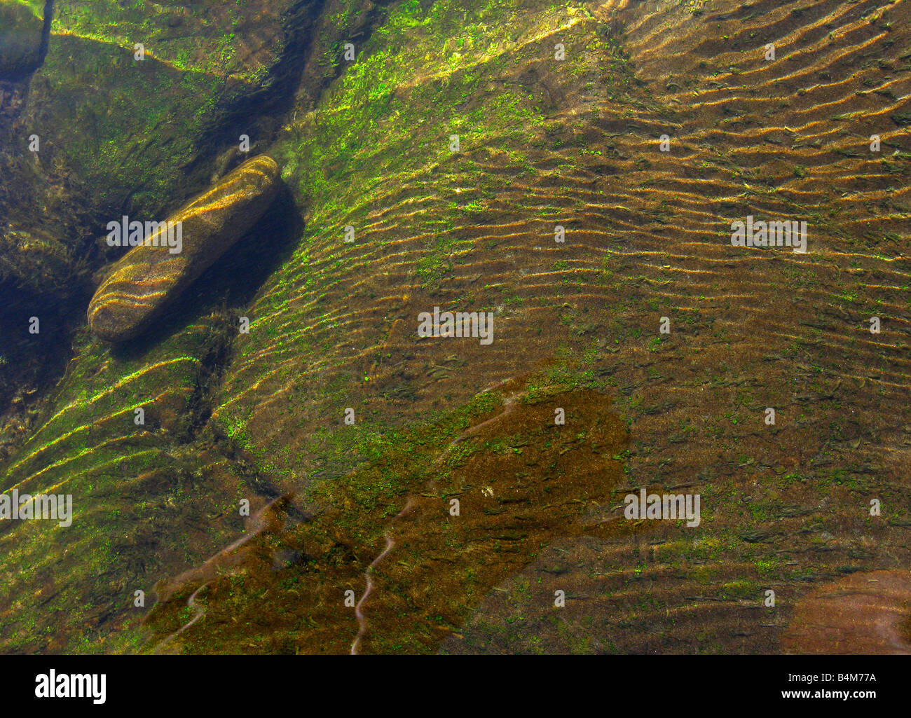 River close up concept Stock Photo - Alamy