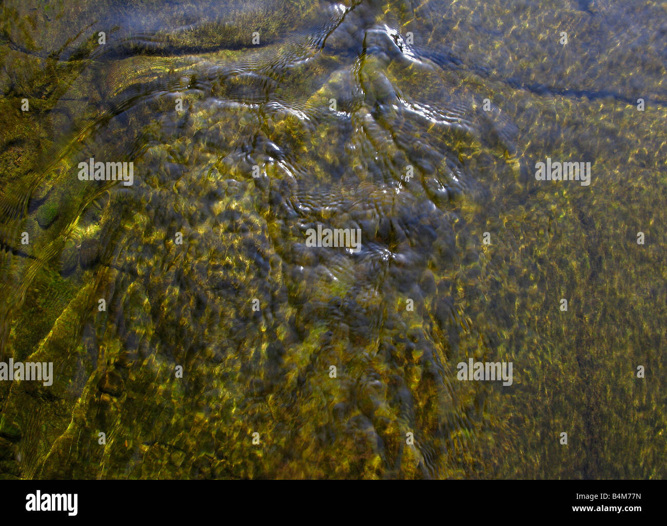 River close up concept Stock Photo - Alamy