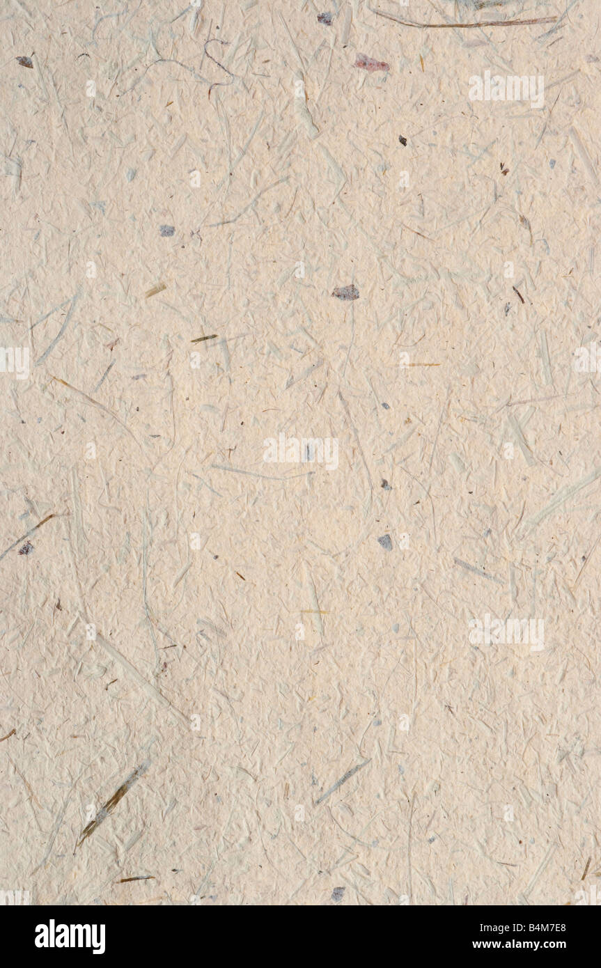 Detail of the surface of the handmade paper with remains of plants ...