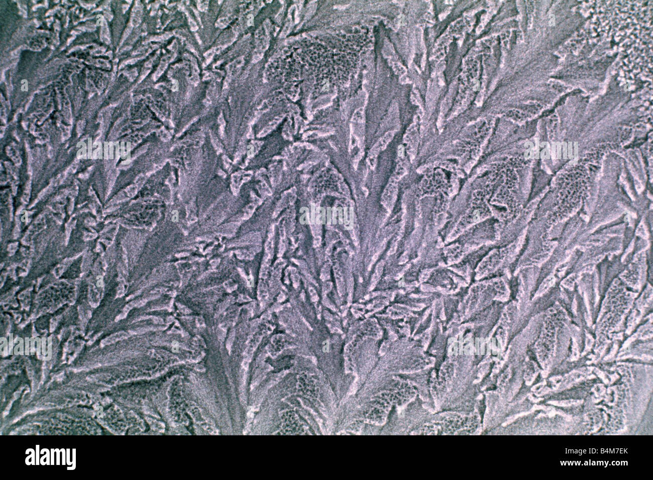 Frost Effects May 1976 Stock Photo - Alamy