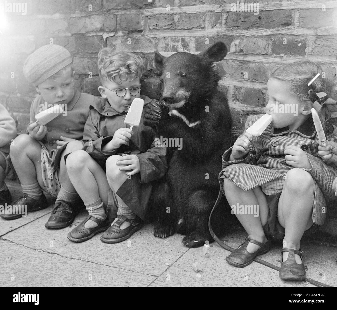 Biffo the bear hi-res stock photography and images - Alamy