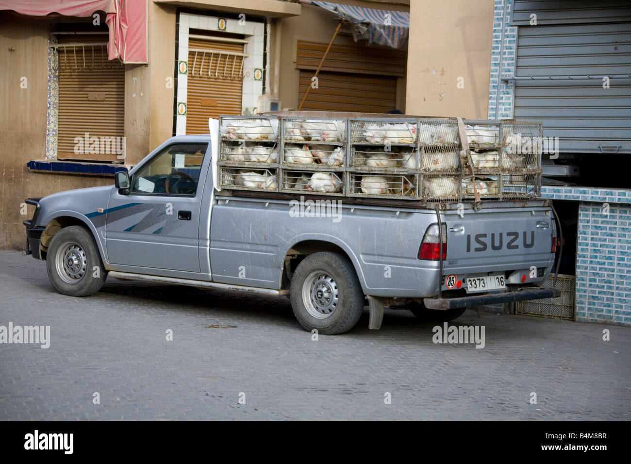 Chicken farm africa hi-res stock photography and images - Alamy