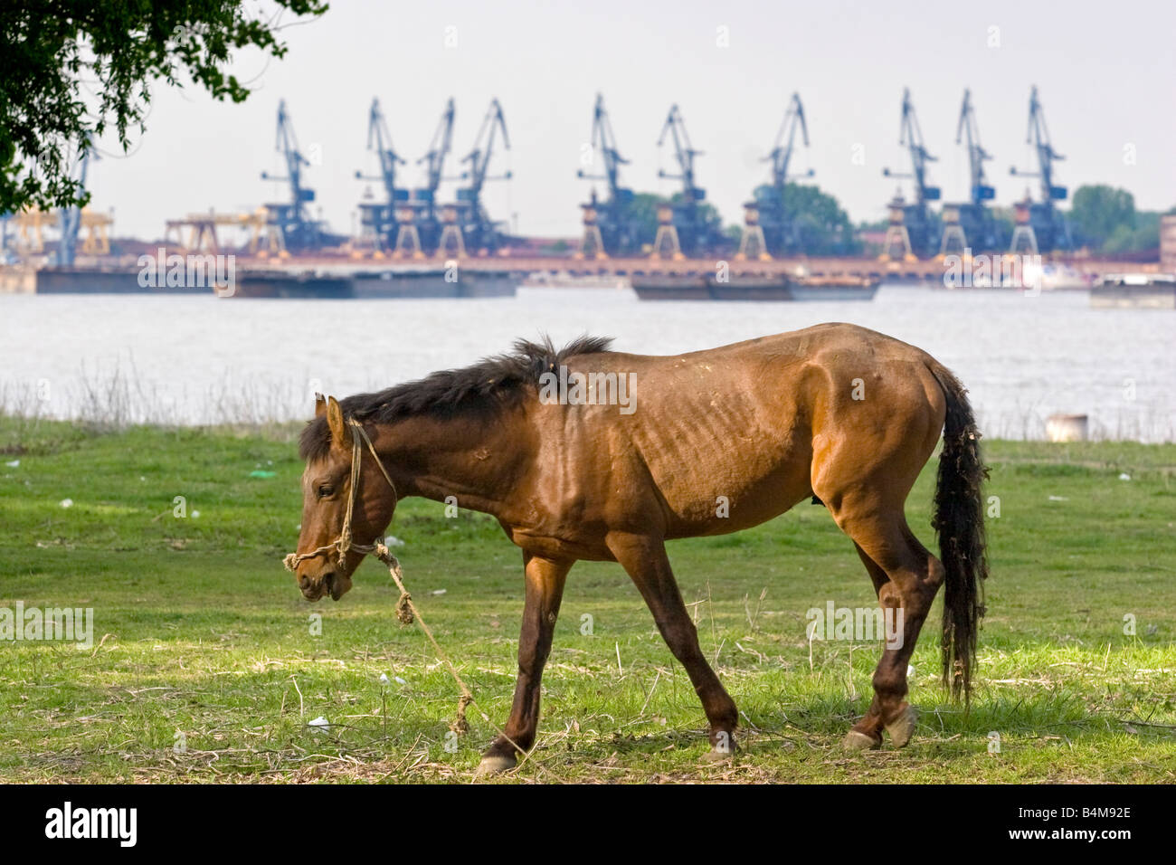 Old galati hi-res stock photography and images - Alamy
