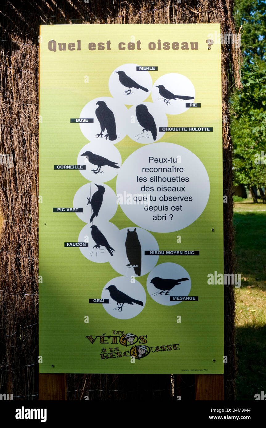 Zoo watchers hi-res stock photography and images - Alamy