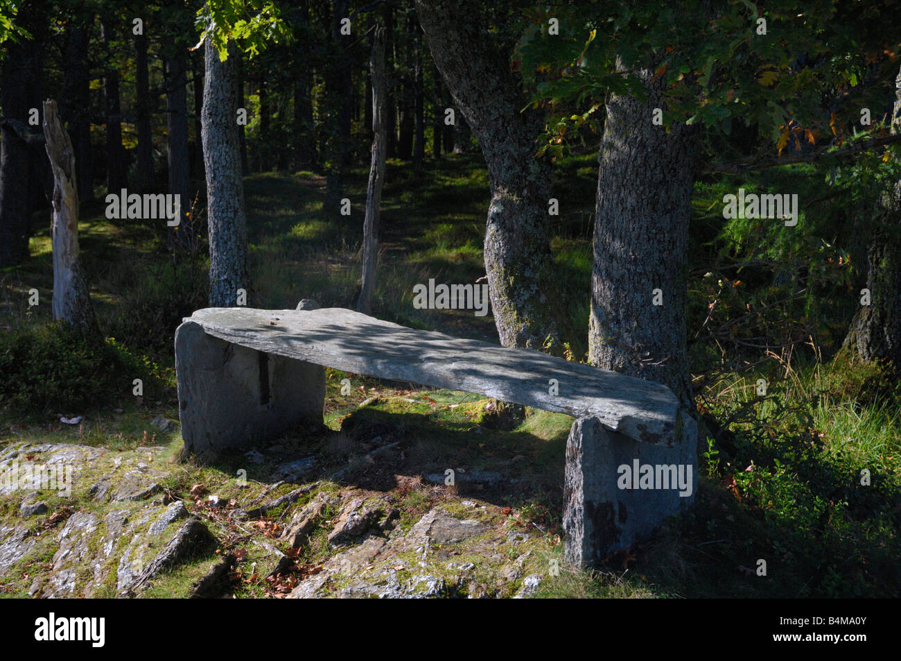 Slate stone bench on edge of woodland Stock Photo - Alamy