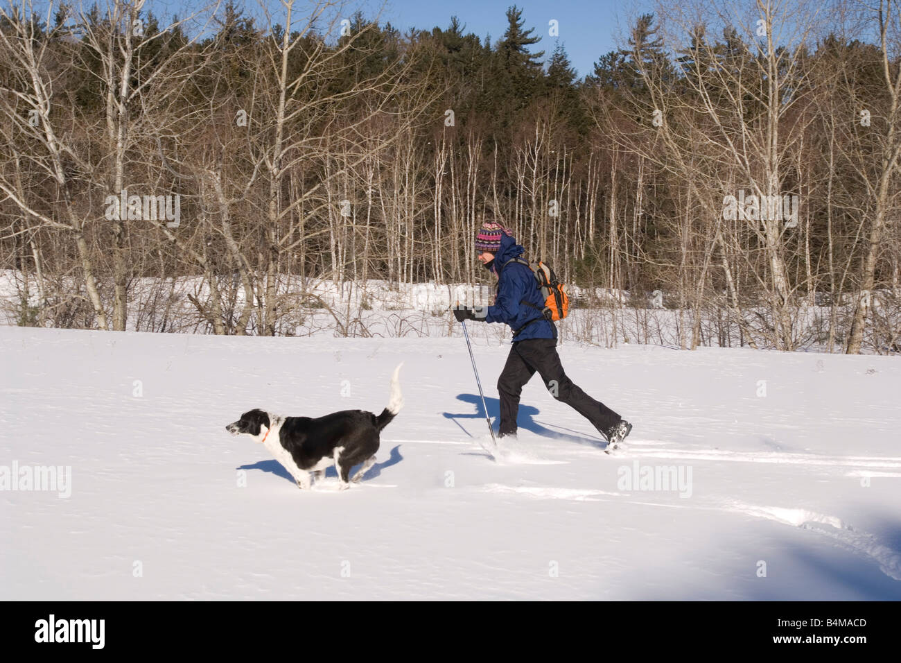 Escanaba river state forest hi-res stock photography and images - Alamy