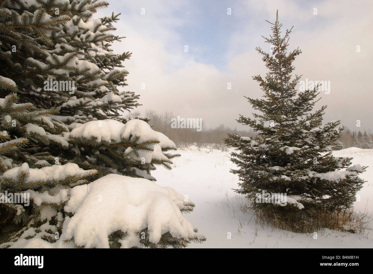 Lake effect snowstorm hi-res stock photography and images - Alamy