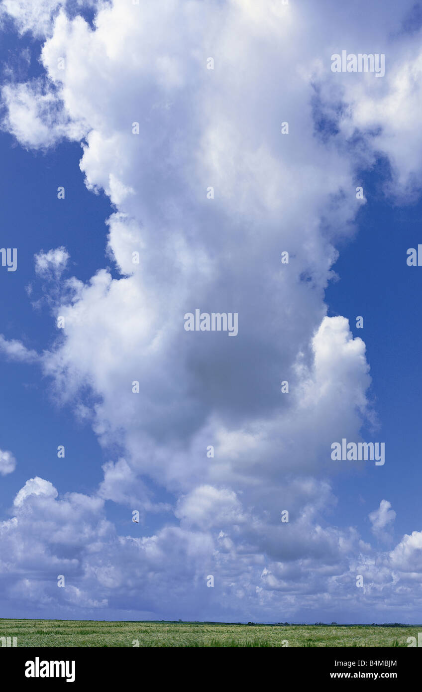 Big blue skys hi-res stock photography and images - Alamy