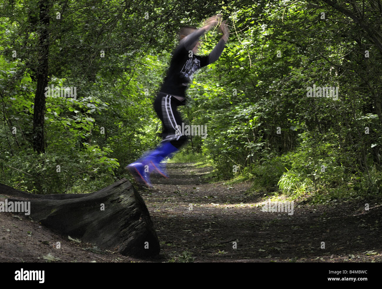 Jumping Off Tree High Resolution Stock Photography and Images - Alamy
