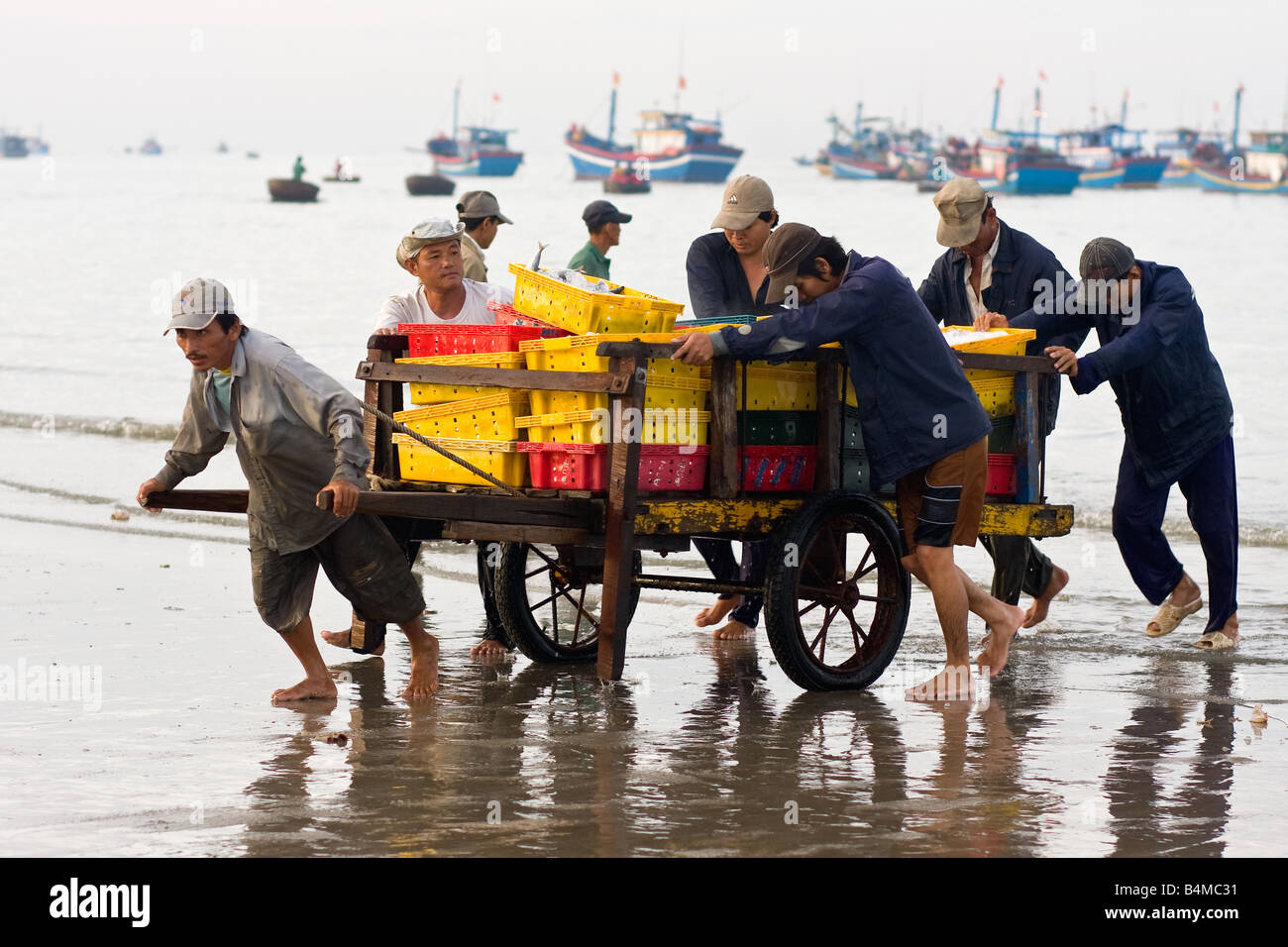 Fishermen pulling and pushing cart full of fresh catched fish Stock ...