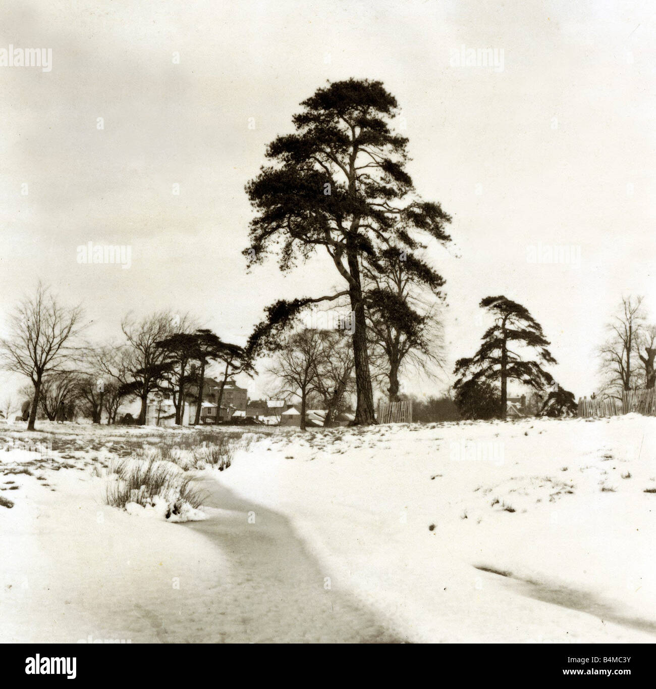 Hadley Common Hertfordshire Weather Winter Scenes Snow Trees Hadley ...
