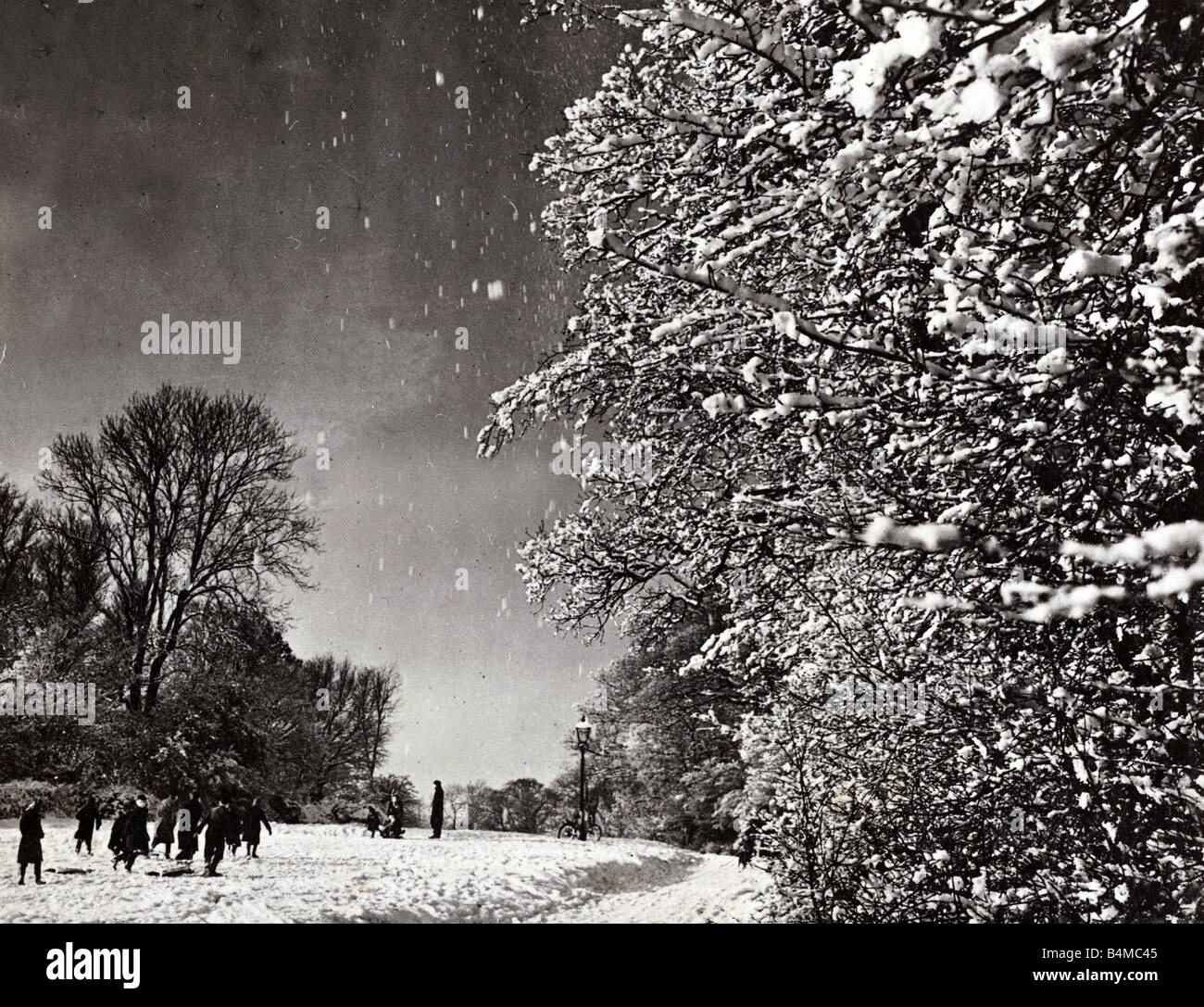 Hadley Common Hertfordshire Jan 1945 Hadley Woods Weather Winter Scenes ...